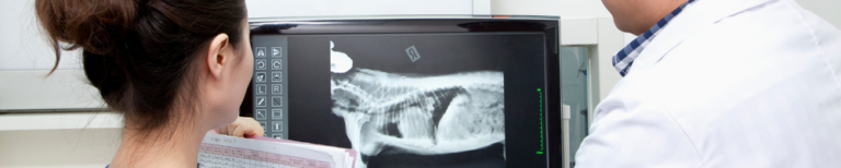 Time, Distance, & Shielding: Key Radiation Protection Principles ...