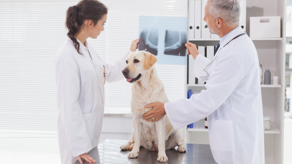 Radiation Badges To Use Based On Your Specific Work Needs - Radiation ...